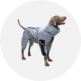 Pet Clothing & Accessories | Stylish, Durable, and Comfortable | Funny ...