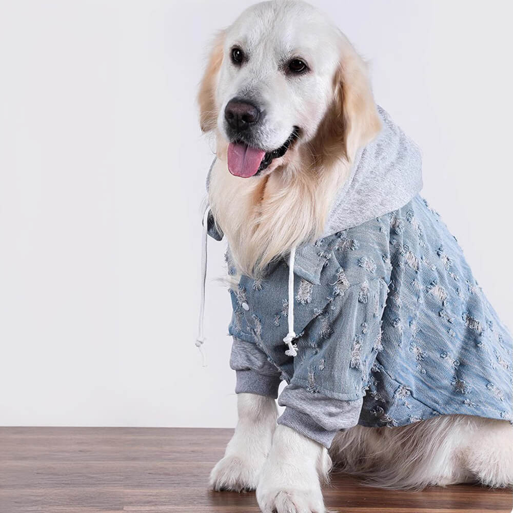 Handsome Ripped Denim Dog Hoodie Jacket Shirt Clothes - FunnyFuzzy