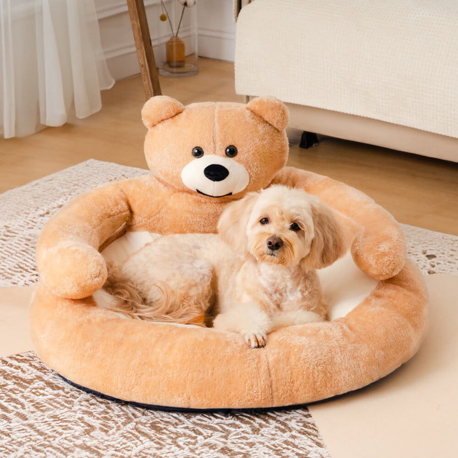 Cute Detachable Cuddle Bear Cat Bed - FunnyFuzzy