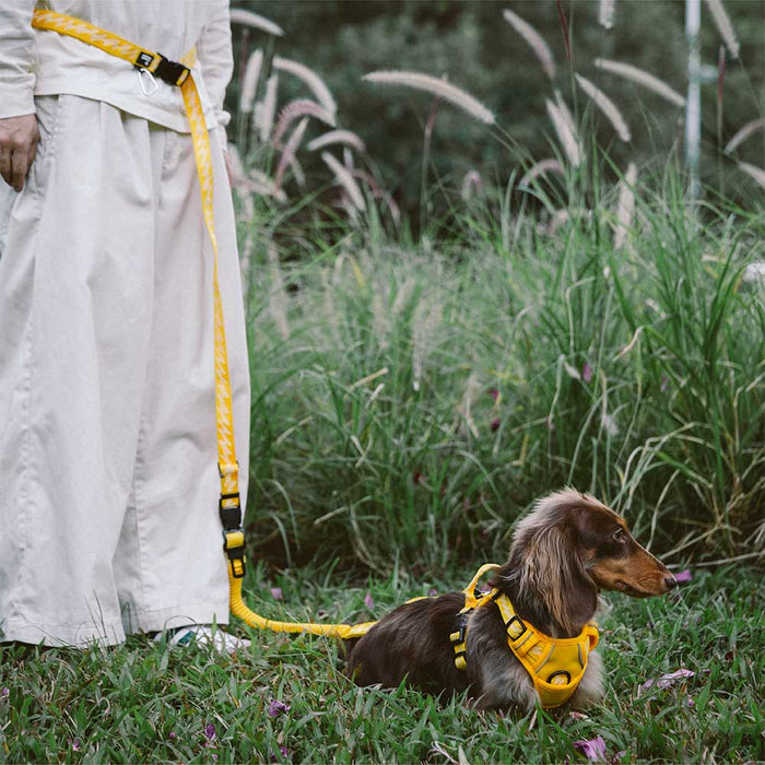Dual-sided Reflective Adjustable Versatile Soft Handle Nylon Large Dog ...
