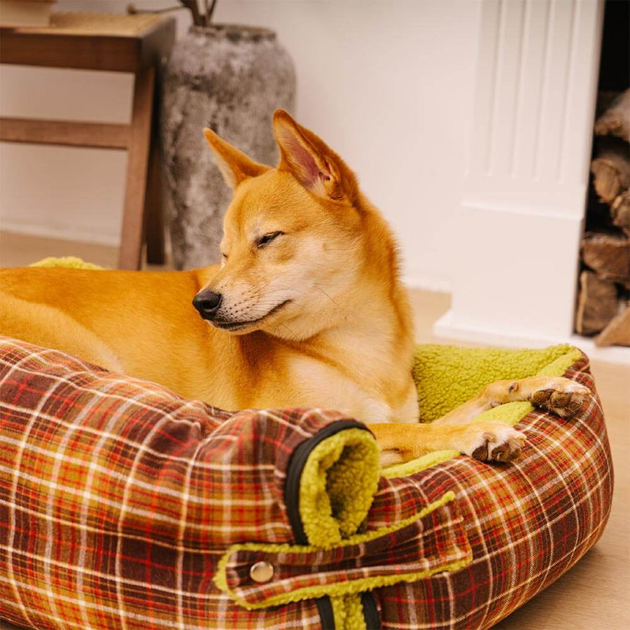 Large Washable Vintage Tartan Folding Blanket Dog Beds - Avocuddle ...