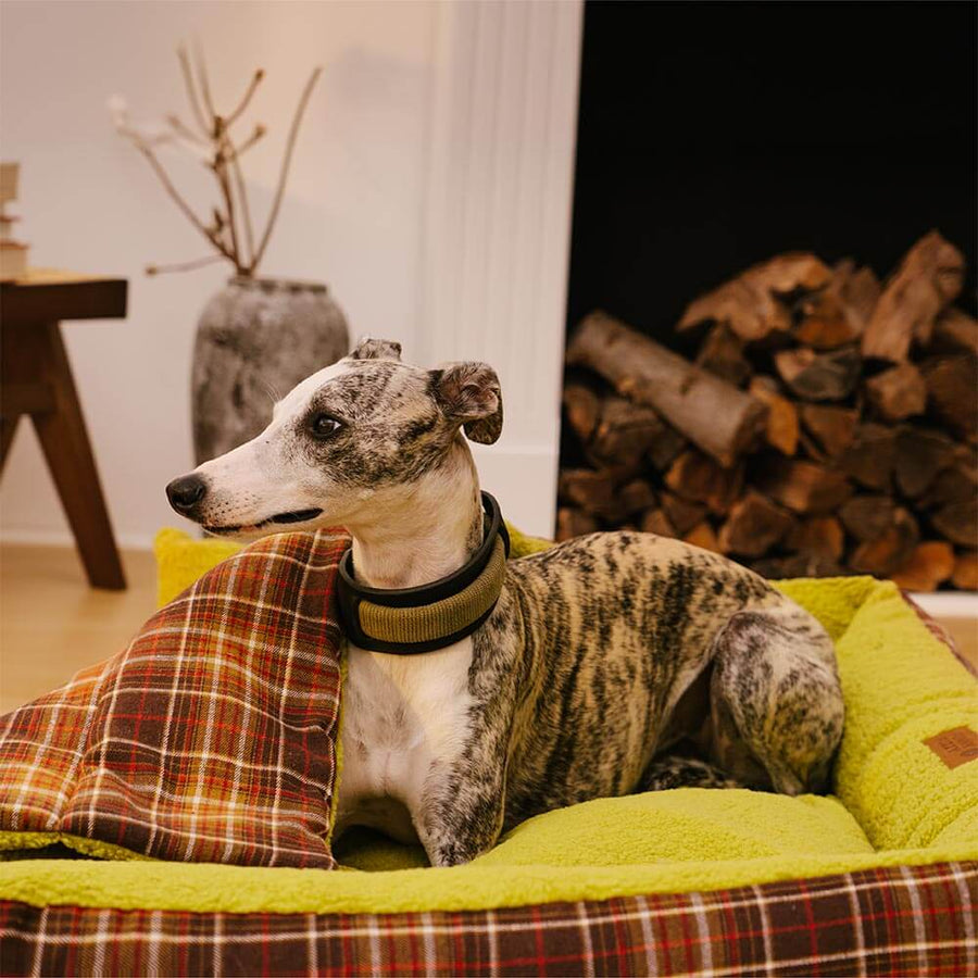 Large Washable Vintage Tartan Folding Blanket Dog Beds - Avocuddle ...