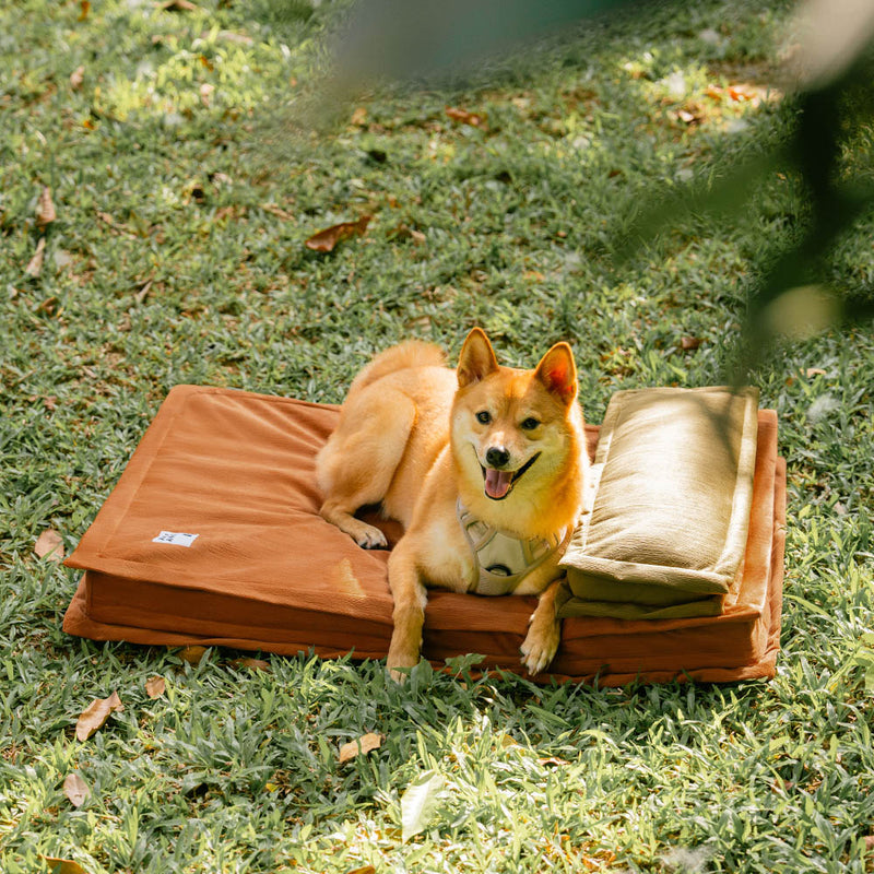Pillow Dog Beds | Ultra-Soft & Supportive Beds for All Dogs | FunnyFuzzy