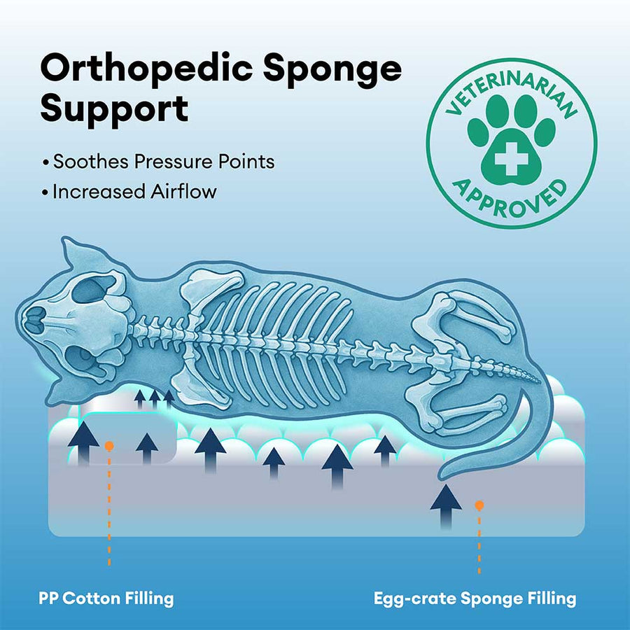 Anti-Anxiety with Sponge Support Deep Sleeping Dog Bed - FunnyFuzzy