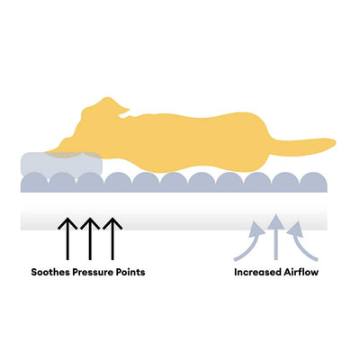 Creamy Plush Super Large Donut Human Dog Bed - Cuddle Cradle - FUNNYFUZZY