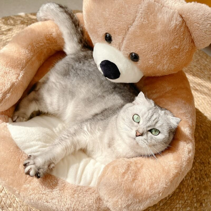 Cute Detachable Cuddle Bear Cat Bed - FunnyFuzzy