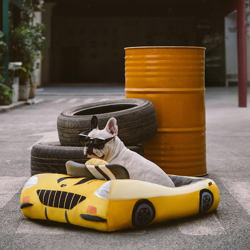 Shop New Pet Products at FunnyFuzzy – Fresh Arrivals for Your Pets