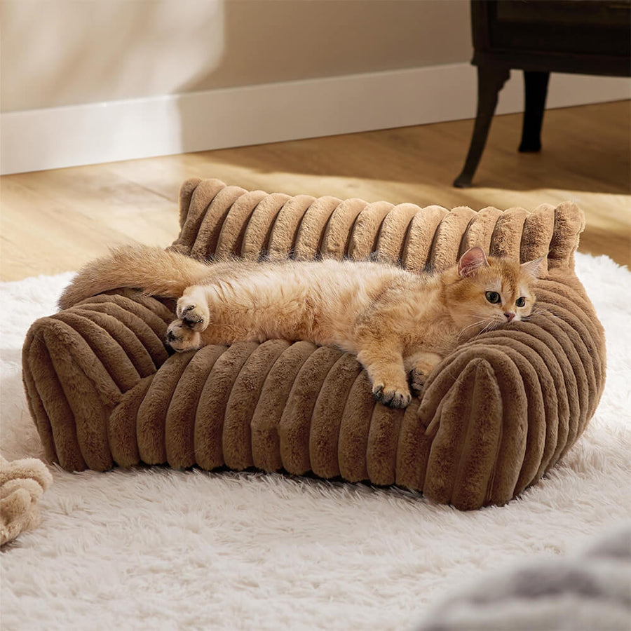 Cozy and Stylish Cat Beds | FunnyFuzzy - Perfect Comfort for Your ...