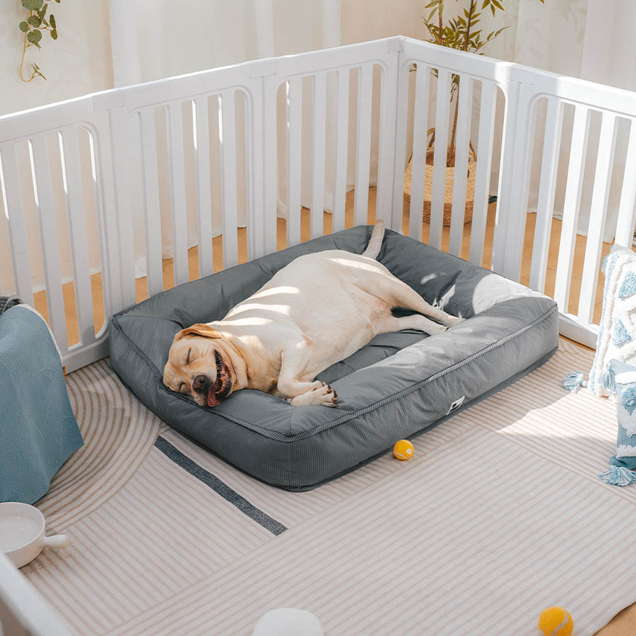 Fully Orthopedic Waterproof Dog Bed - Ultimate Comfort for Large Dogs ...