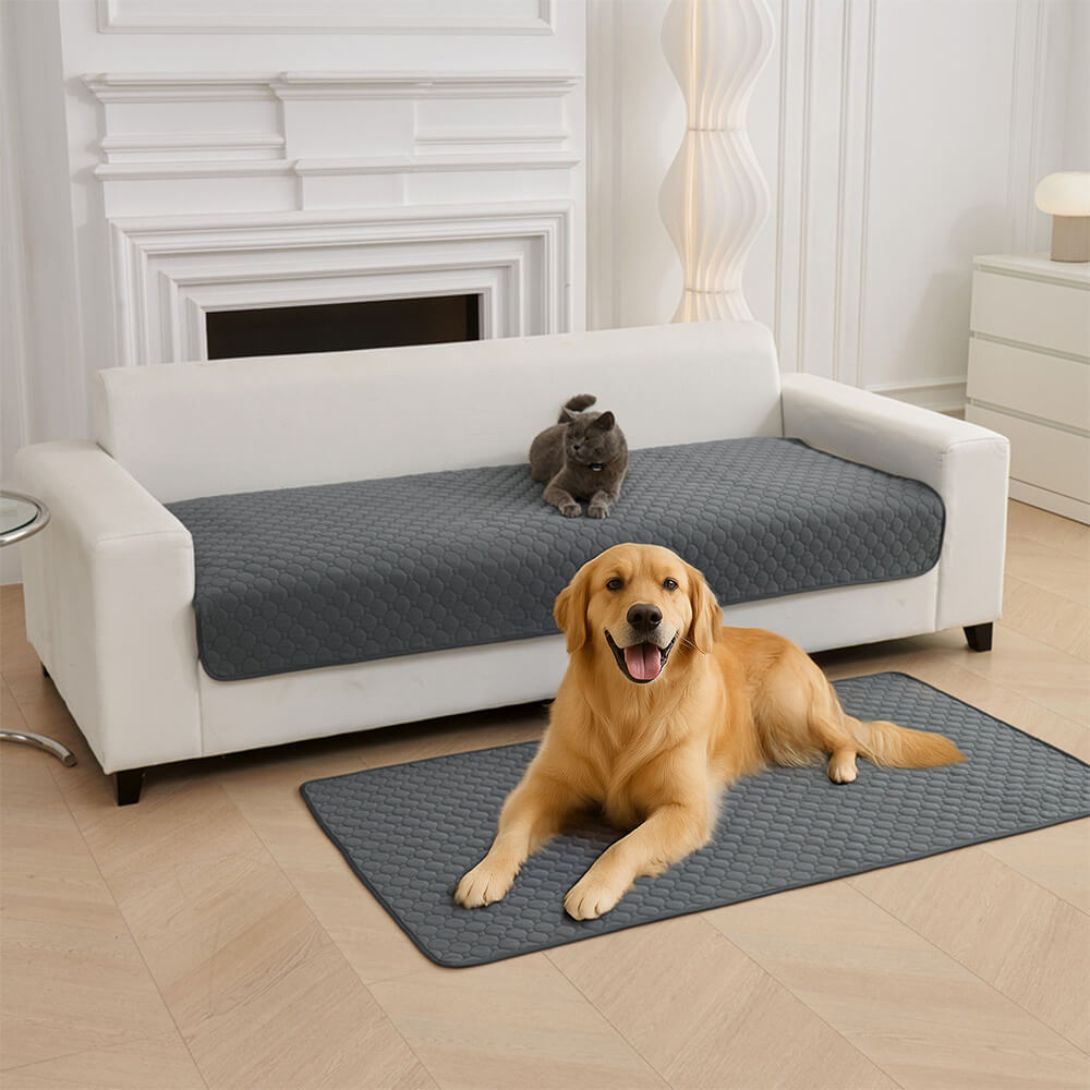 Multi-Purpose Absorbent Leakproof Washable Pet Mat for Sofa and Bed ...