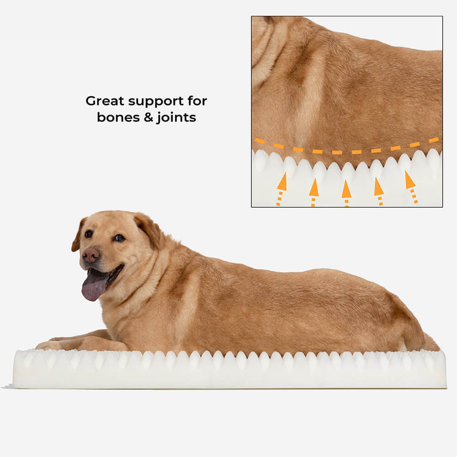 Deluxe Fluffy Full Support Anxiety Relieving Large Dog Bed - FunnyFuzzy