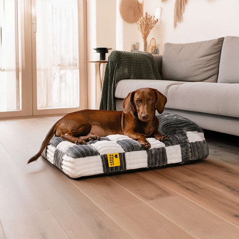 Comfy & Stylish Pillow Dog Beds | FunnyFuzzy - Durable, Washable, & Eco ...