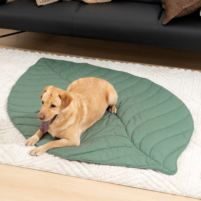 Super Large Leaf Shape Human Mat Dog Blanket - FunnyFuzzy