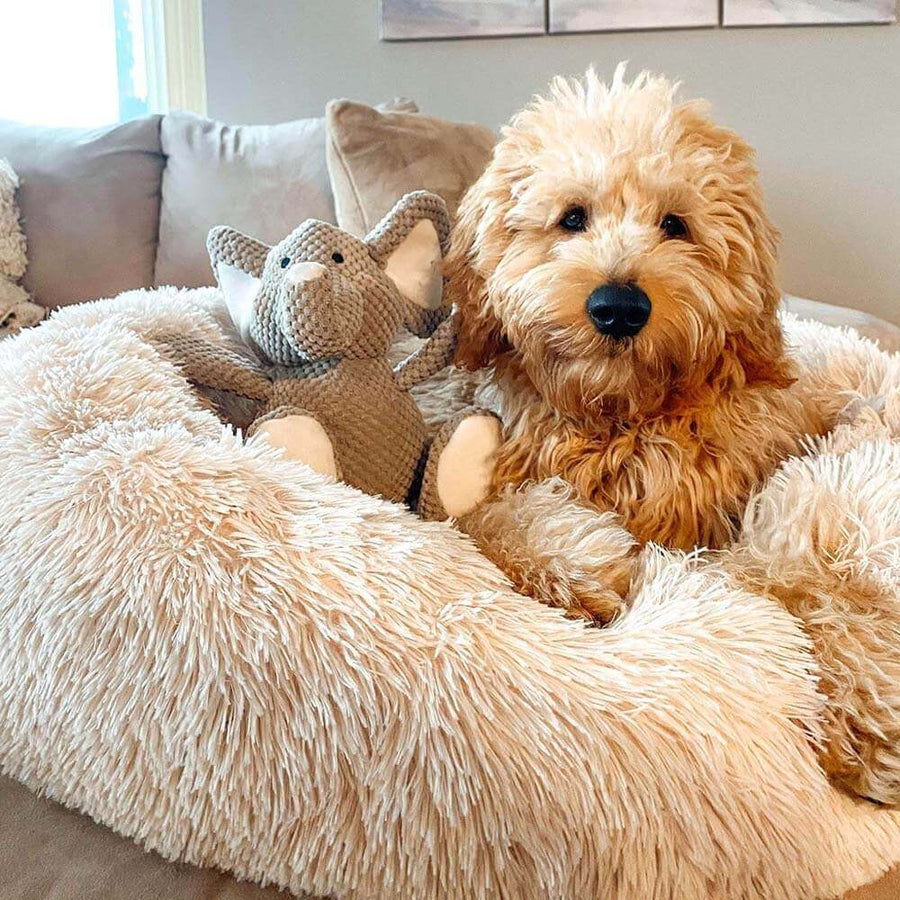 Fuzzy Round Dog Bed - Soft & Cozy Sleep for Your Pet | FunnyFuzzy