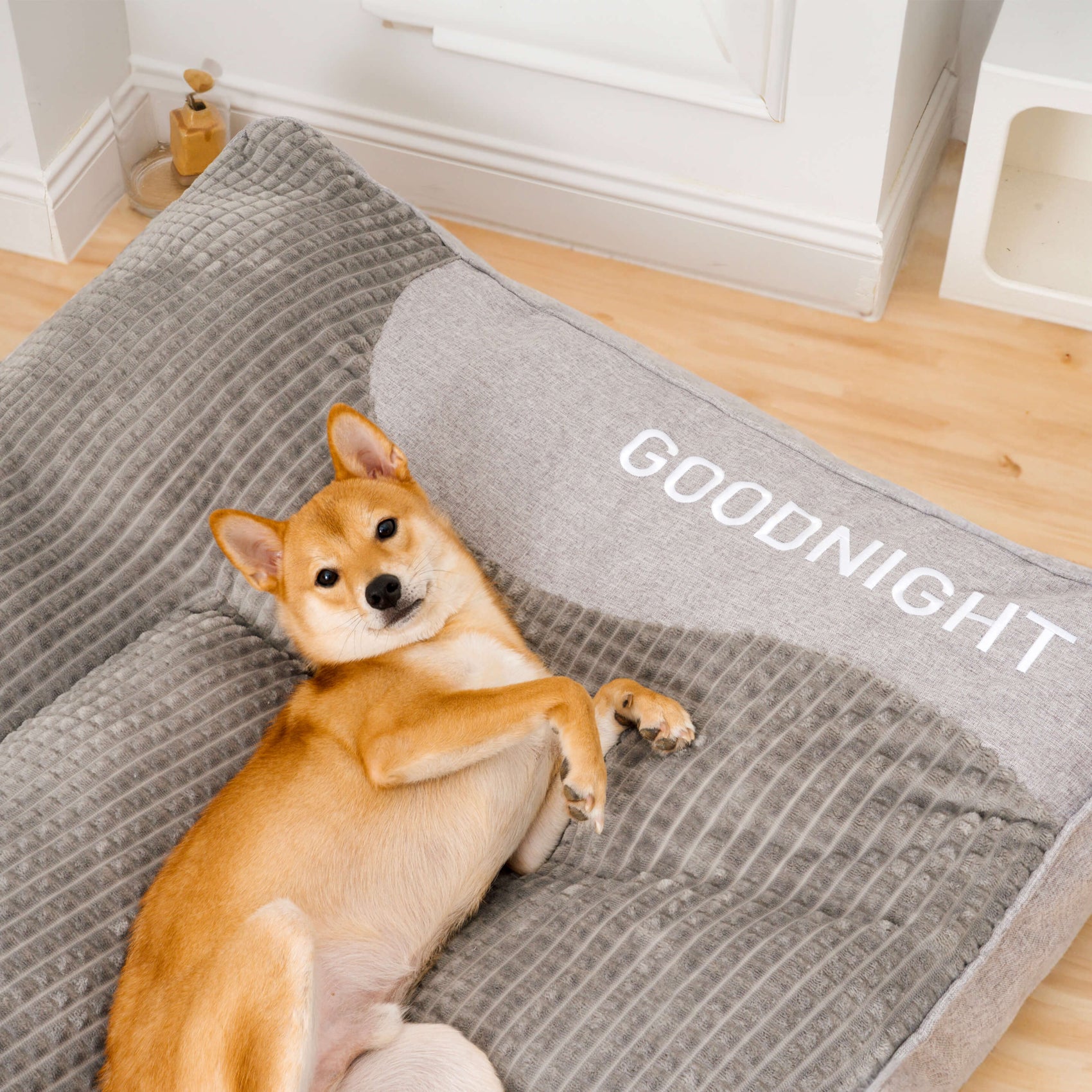 Large Scratch Resistant Dog Cushion Bed | FunnyFuzzy