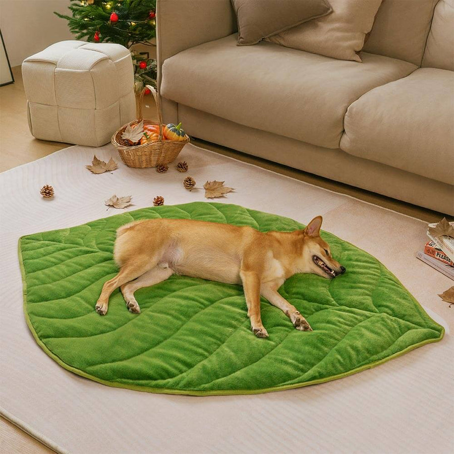Plush Leaf-Shaped Washable Dog Mat-The Leaf Collector - FunnyFuzzy