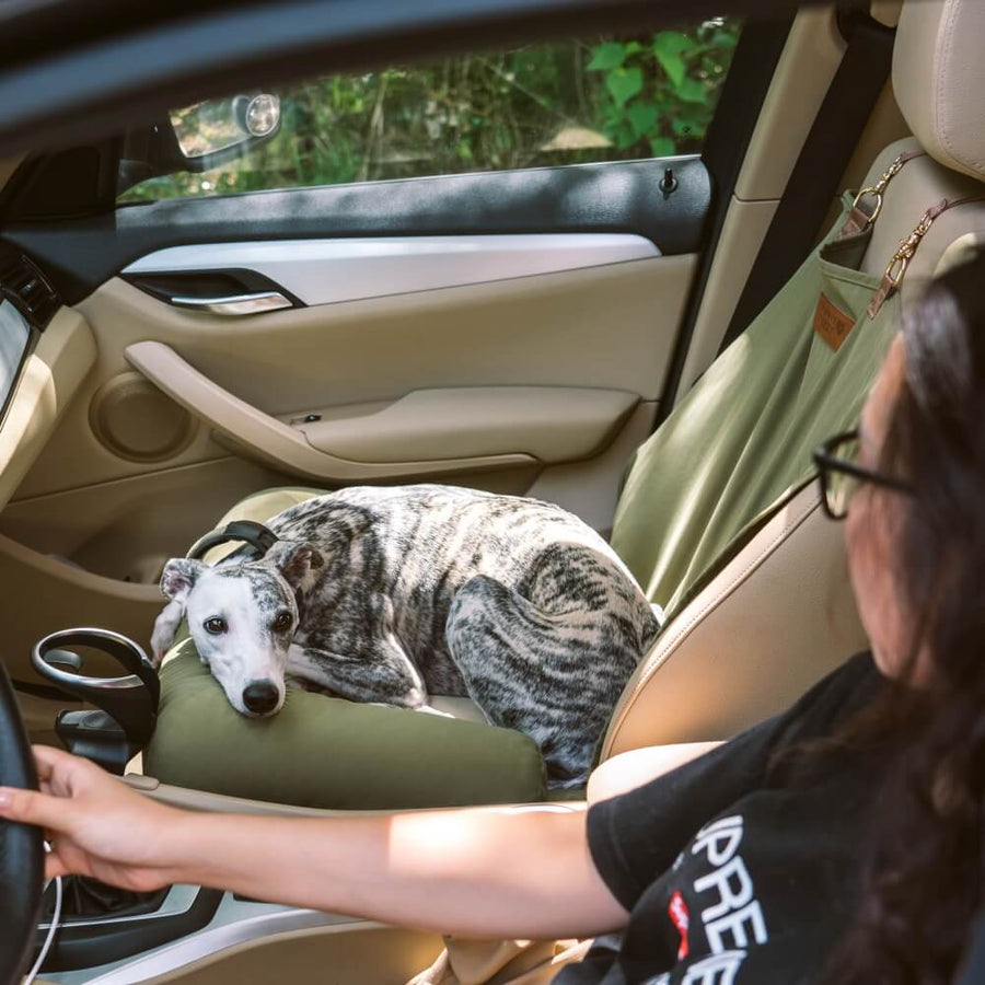 Travel Bolster Safety Back Seat Large Dog Car Seat Bed - Chessboard ...