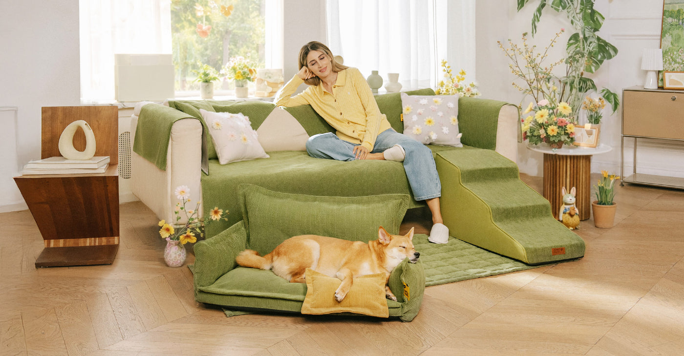 Everyday Pet Care Essentials