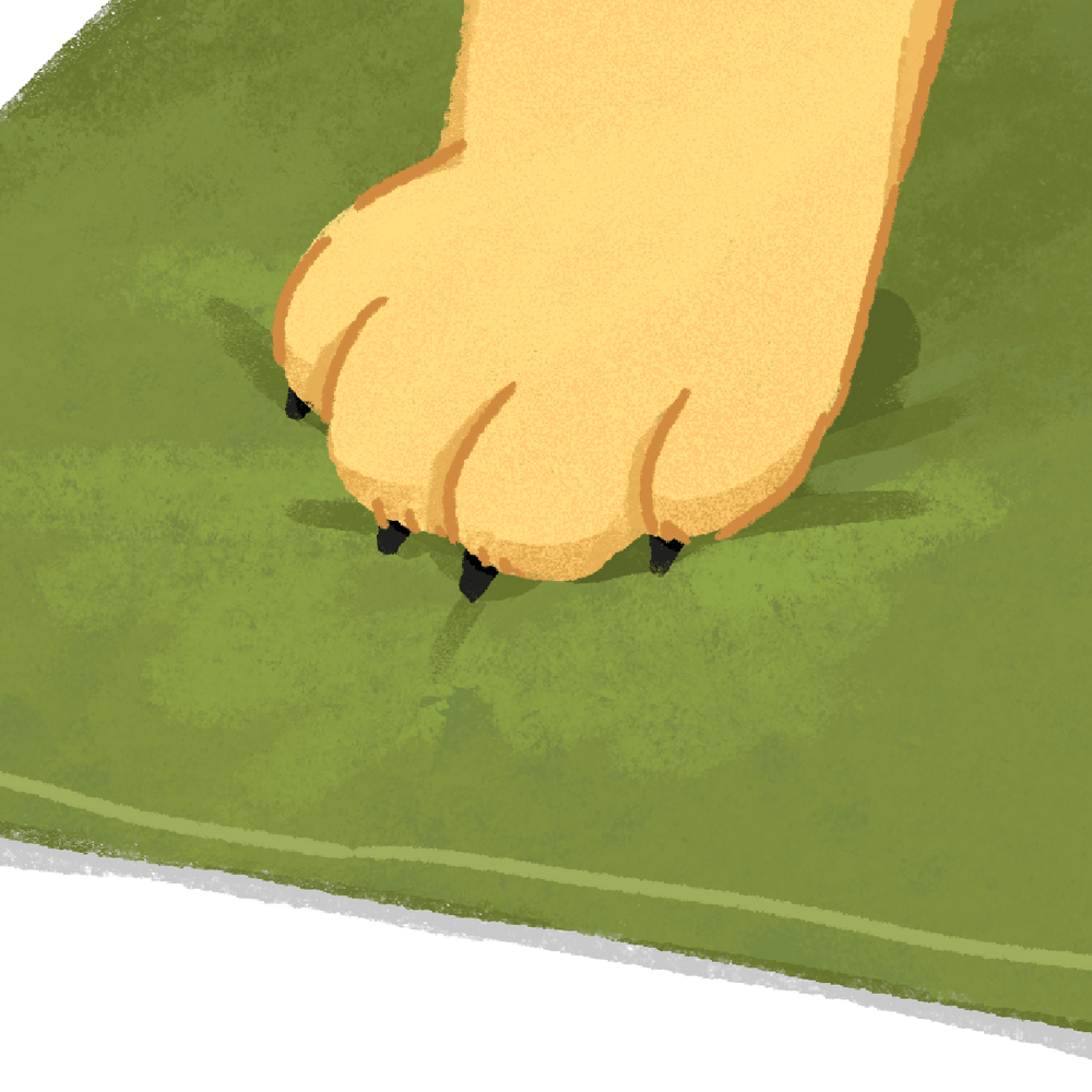 Anti-Scratch Couch Covers | Protect Sofas from Pets | FunnyFuzzy – Page 9