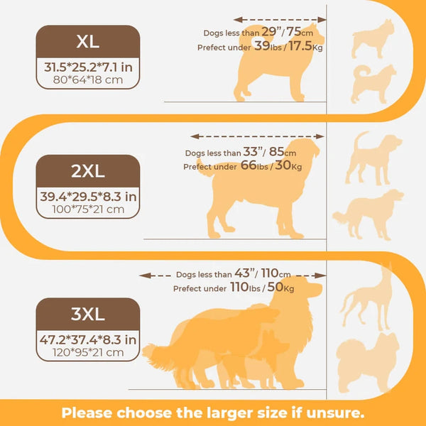 Large Scratch Resistant Dog Cushion Bed | FunnyFuzzy