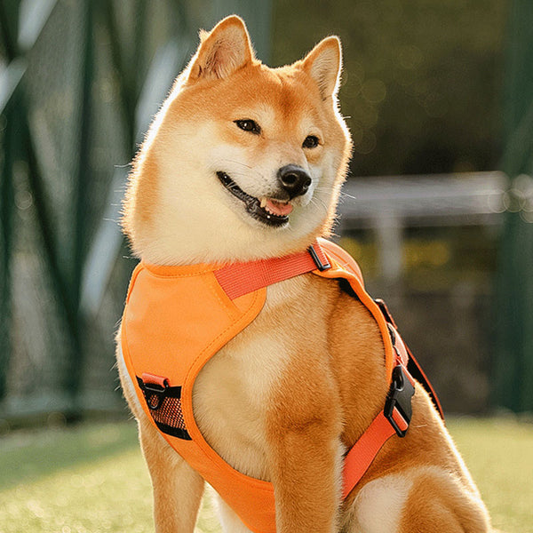 Shop All – Page 10