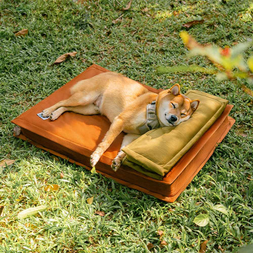 Pillow Dog Beds | Ultra-Soft & Supportive Beds for All Dogs | FunnyFuzzy