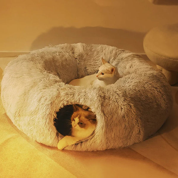 2-in-1 Cat Tunnel Bed – Soft, Foldable, and Fun | FunnyFuzzy