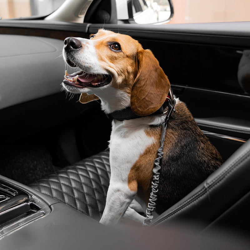 Buffer Adjustable Cool Dog Accessories Car Seat Belt - FunnyFuzzy