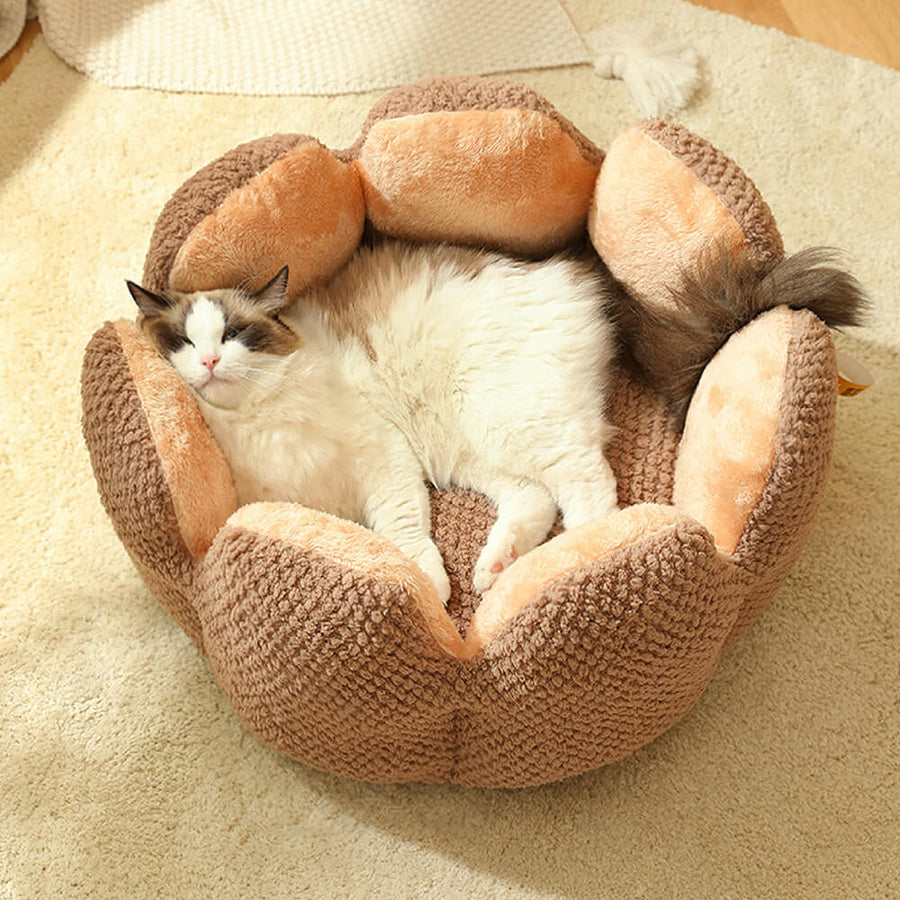 Cozy and Stylish Cat Beds | FunnyFuzzy - Perfect Comfort for Your ...
