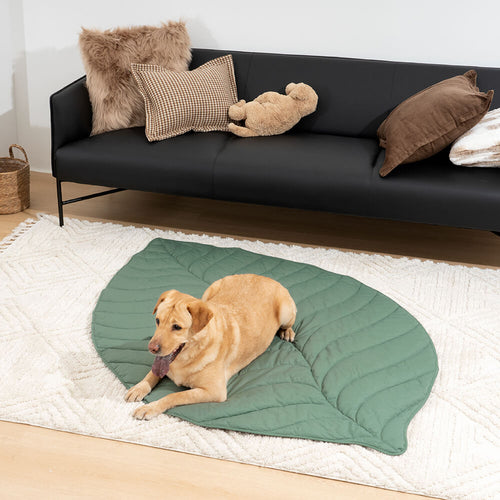 Super Large Leaf Shape Human Mat Dog Blanket - FunnyFuzzy