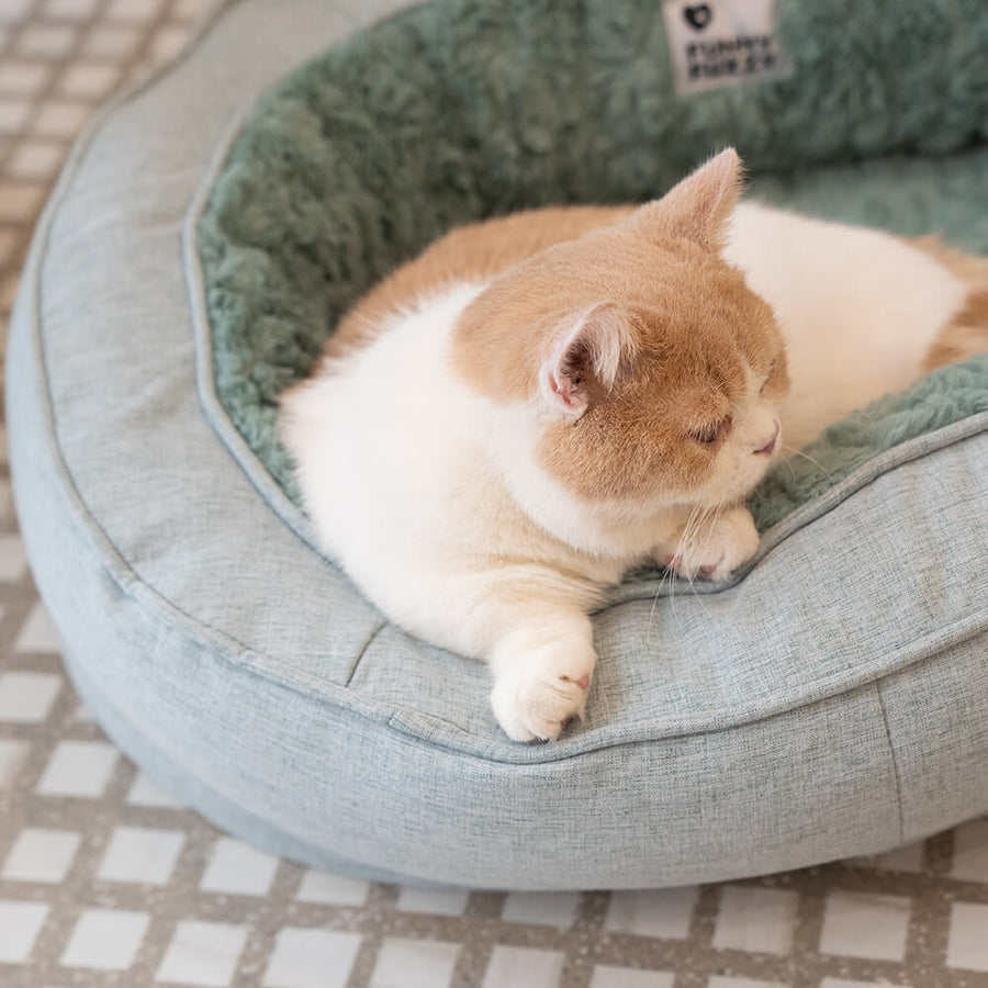 Donut Fluffy Orthopedic Dog Bed for Comfort and Support | FunnyFuzzy