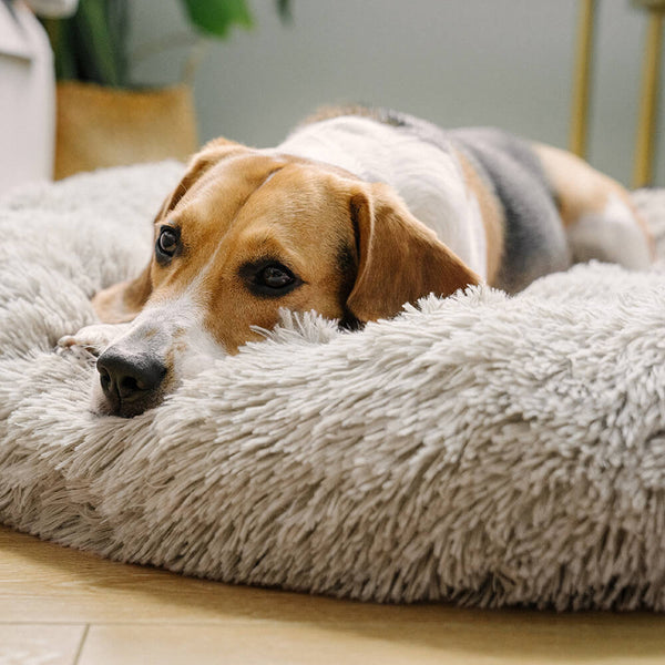 Fuzzy Round Dog Bed - Soft & Cozy Sleep for Your Pet | FunnyFuzzy