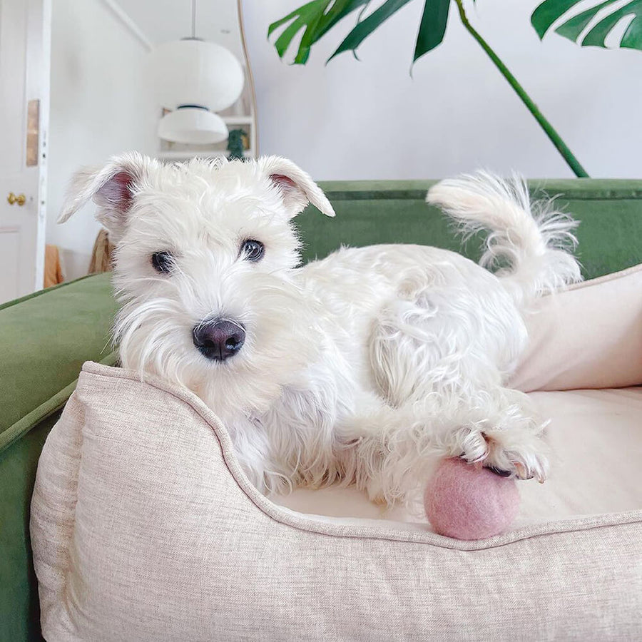 Dog Bed - Square Bread - FunnyFuzzy