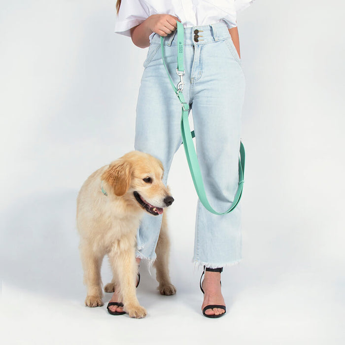 Gummy Dog Leash - FunnyFuzzy