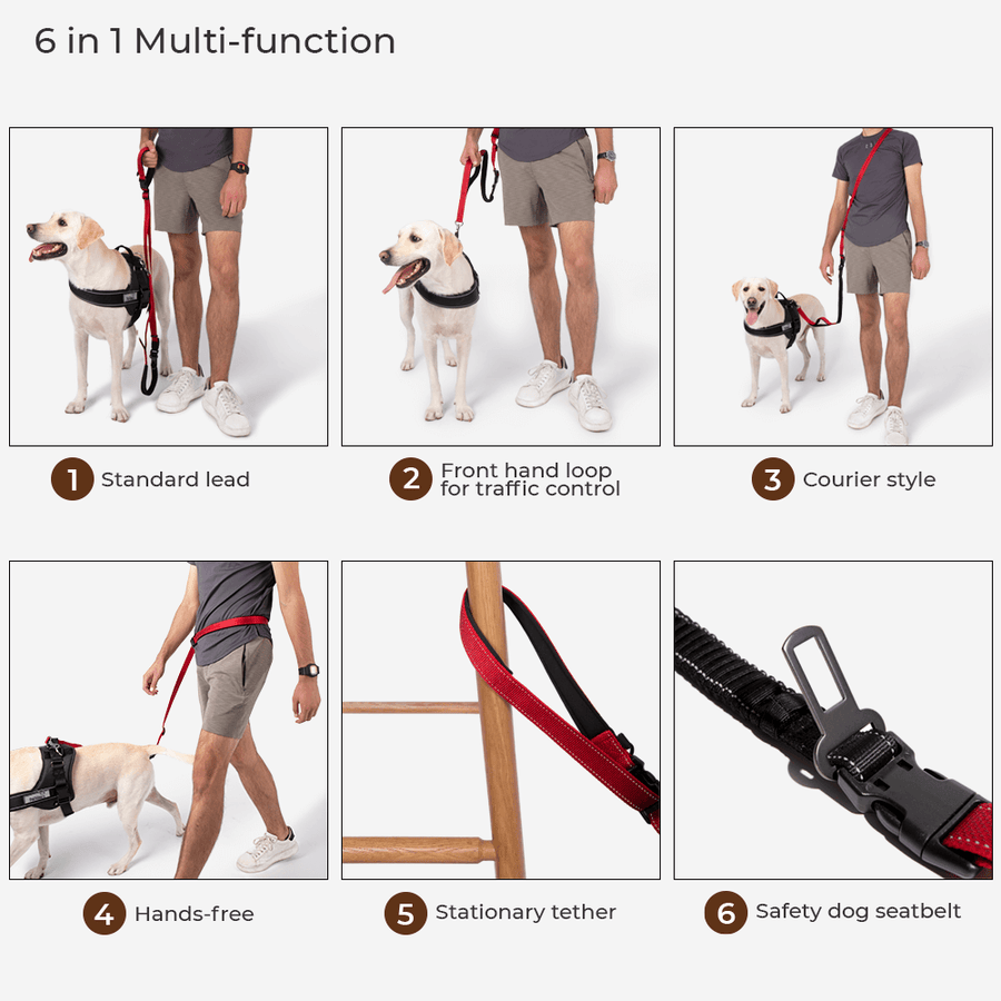 Multifunction Hands Free Dog Leash With Safety Seat Belt - FunnyFuzzy