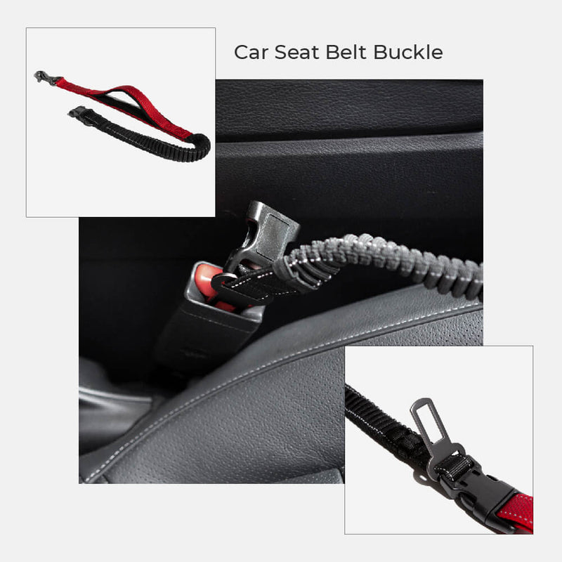 Multifunction Hands Free Dog Leash With Safety Seat Belt - FunnyFuzzy