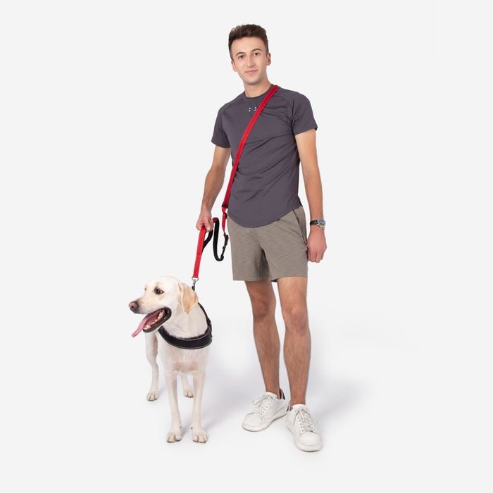Multifunction Hands Free Dog Leash With Safety Seat Belt - FunnyFuzzy