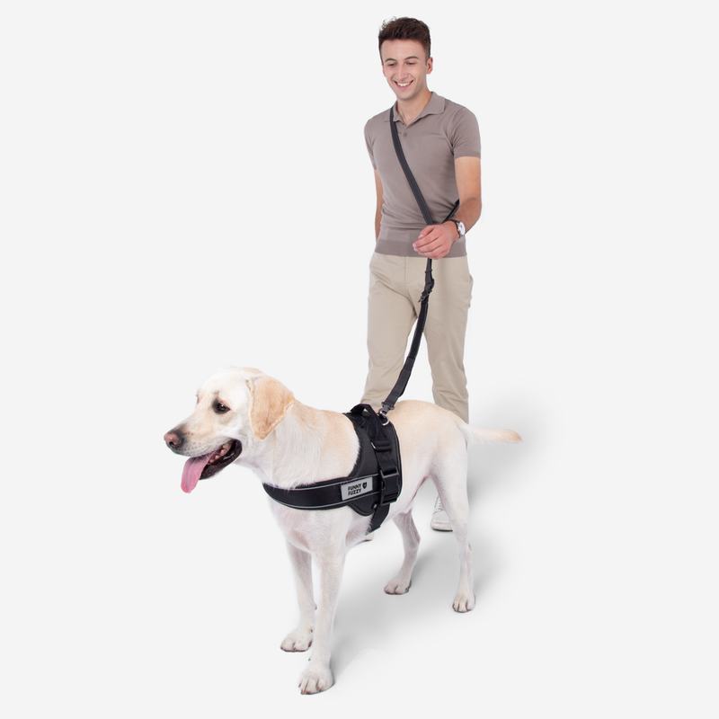 Multifunction Hands Free Dog Leash With Safety Seat Belt - FunnyFuzzy